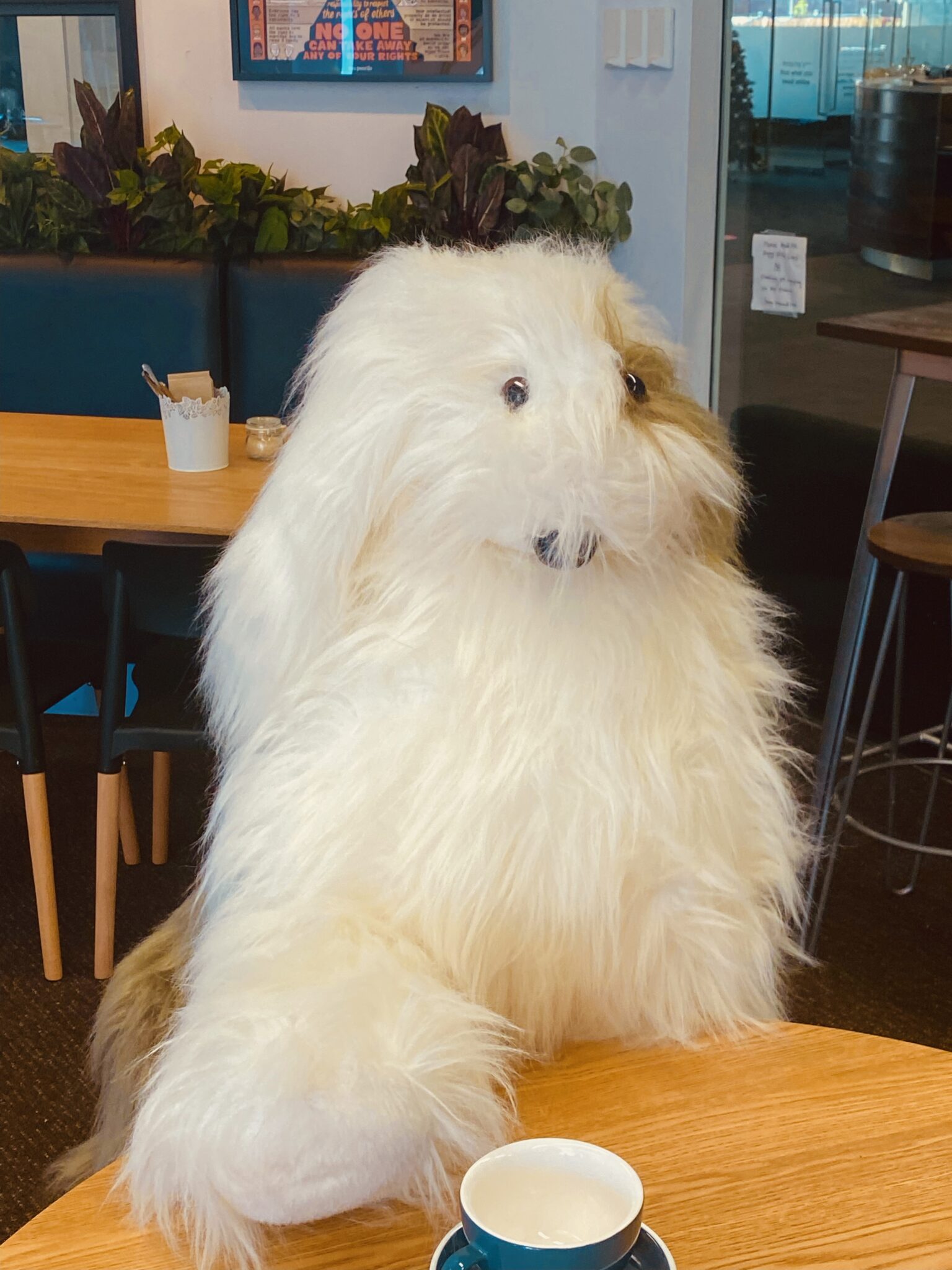 Contact Us - The Underground Collaborative